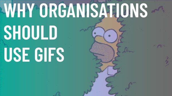 Why Organisations Should Use GIFs! - Stone's Throw Media